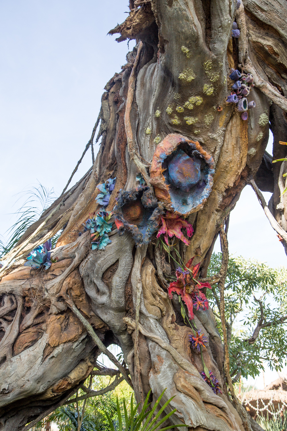 Guide to PANDORA- Everything You Need to Know - 4 All Things Disney